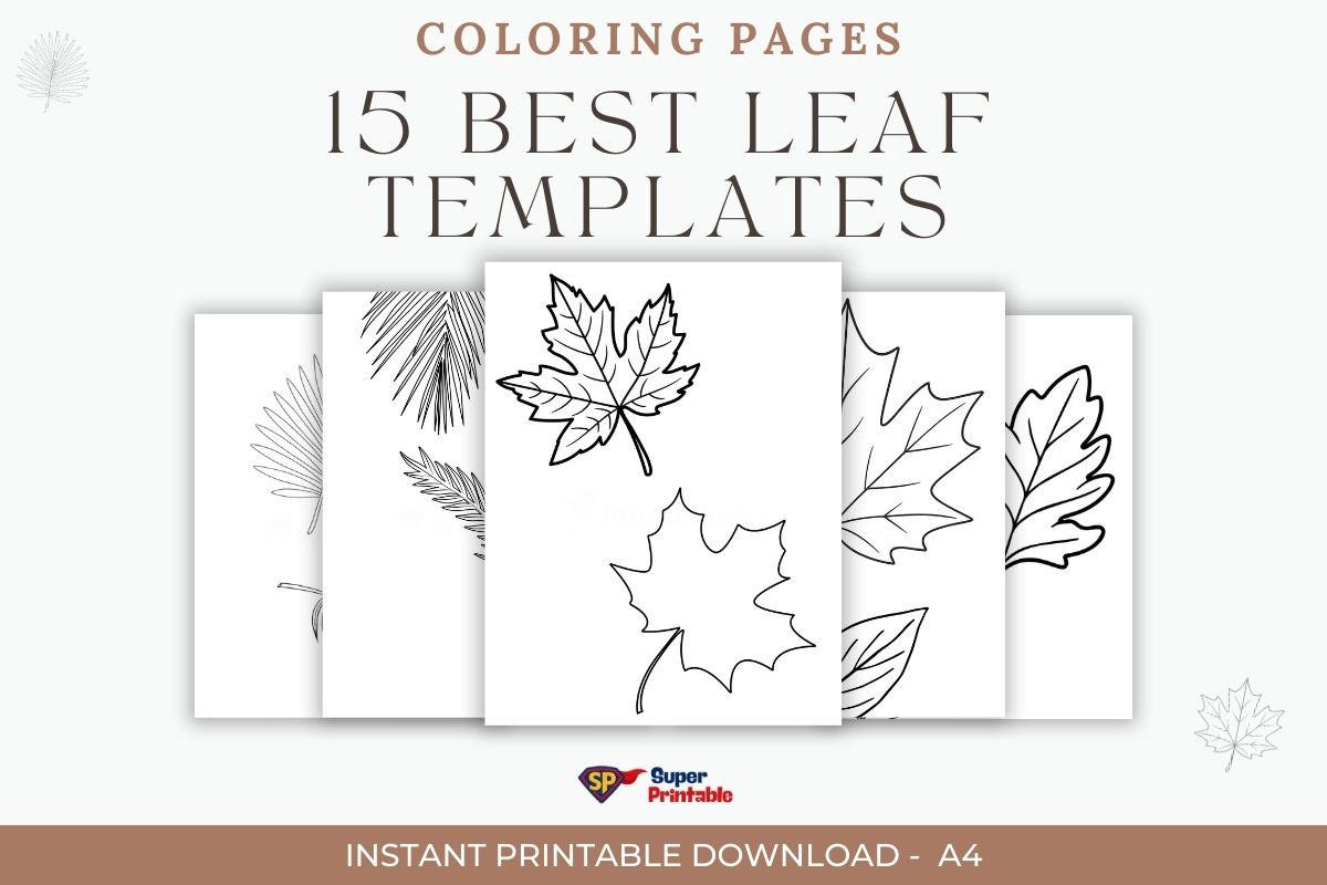 15 Best Leaf Templates (Free Download & Printable PDF)