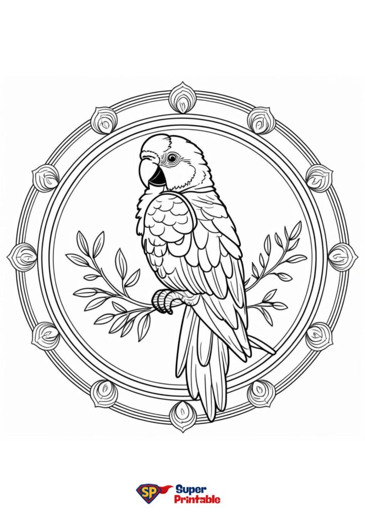 12 Pet Animal Mandalas Coloring Pages to Print and Enjoy