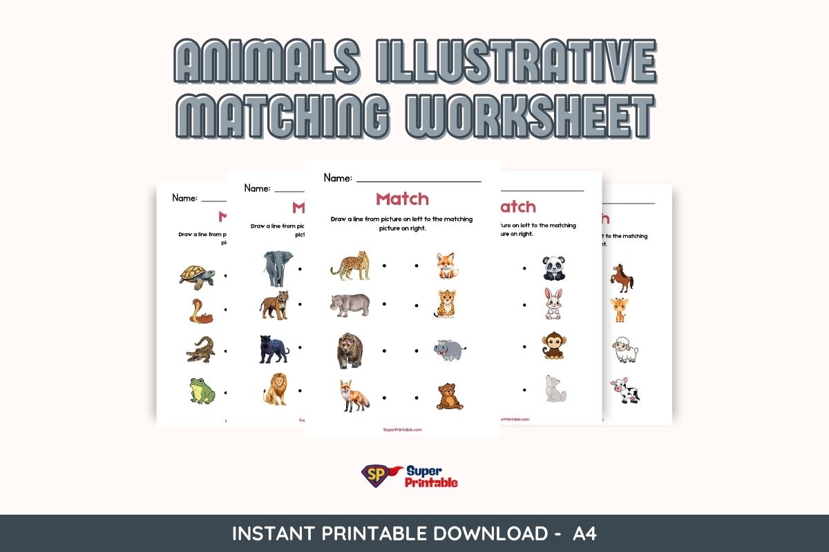 5 Animals Illustrative Matching Worksheet | Free PDF Printables