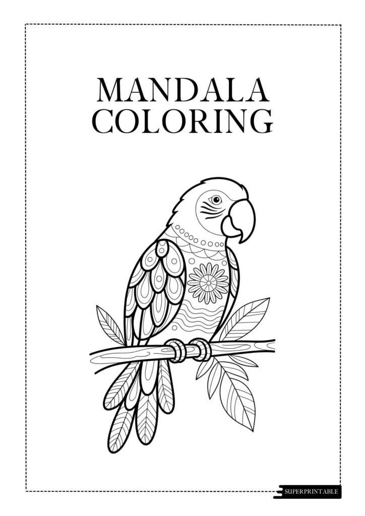 10+ Birds Mandala Coloring Worksheet | Free PDF Printables