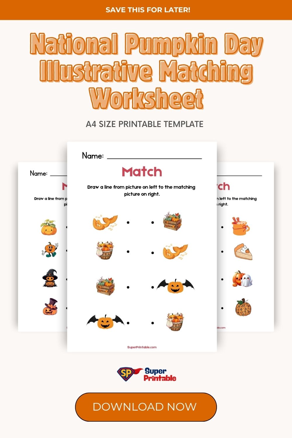 National Pumpkin Day Illustrative Matching Worksheet | Free PDF