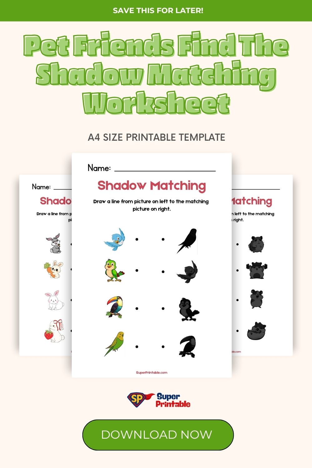 Pet Friends Find The Shadow Matching Worksheet | Free PDF