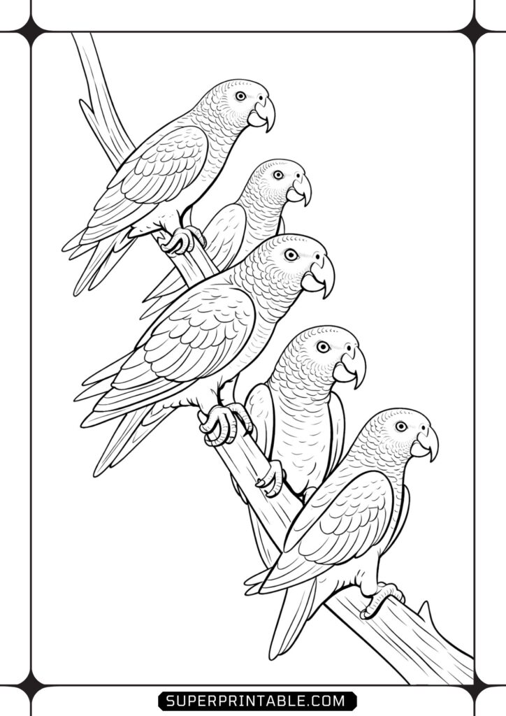 12+ Birds On Trees Coloring Pages (Free PDF Printables)